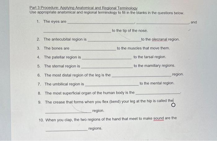Solved Part 3 Procedure: Applying Anatomical and Regional | Chegg.com