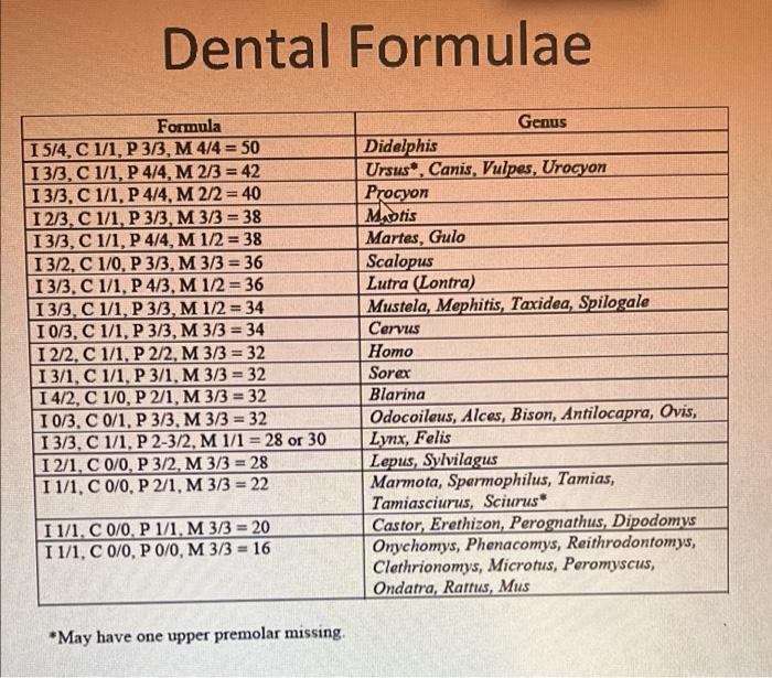 write the dental formula for this skull. is this a | Chegg.com