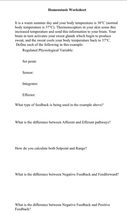 Solved Homeostasis Worksheet It is a warm summer day and | Chegg.com