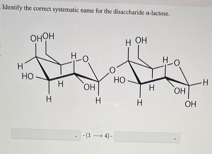 Solved Identify the correct systematic name for the | Chegg.com