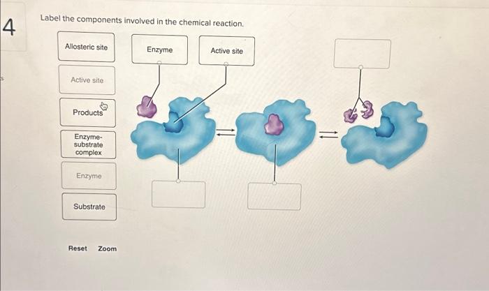 [Solved]: 4 S Label the components involved in the chemical