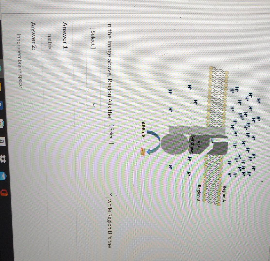 Solved HHHH H H H H H H H+ H HH H H H H H H H H H H H H H H | Chegg.com