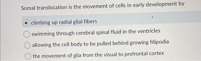 Solved Somal translocation is the movement of cells in early | Chegg.com