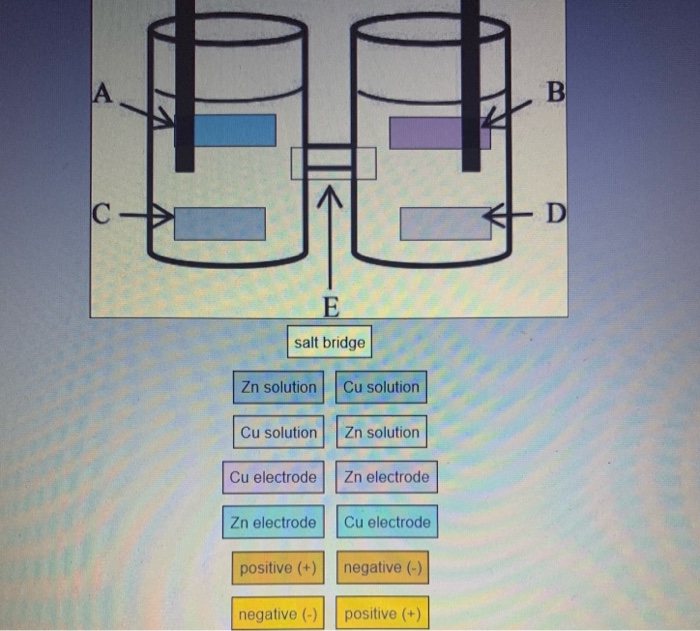 Solved Identify the components of the galvanic | Chegg.com
