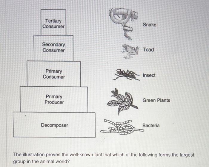 Solved Illustration provides the well-known fact that which | Chegg.com