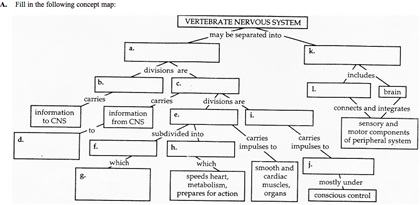 Solved Fill in the following concept map: | Chegg.com