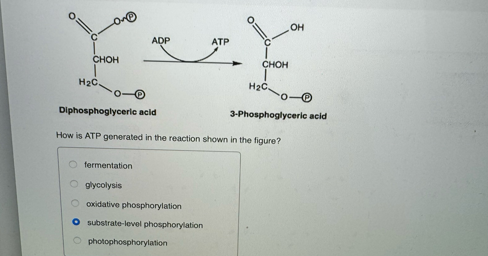 Solved How is ATP generated in the reaction shown in the | Chegg.com