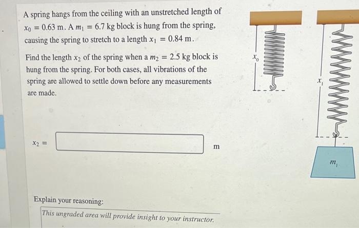 Solved Question 17 of 20 An ideal spring hangs from the | Chegg.com