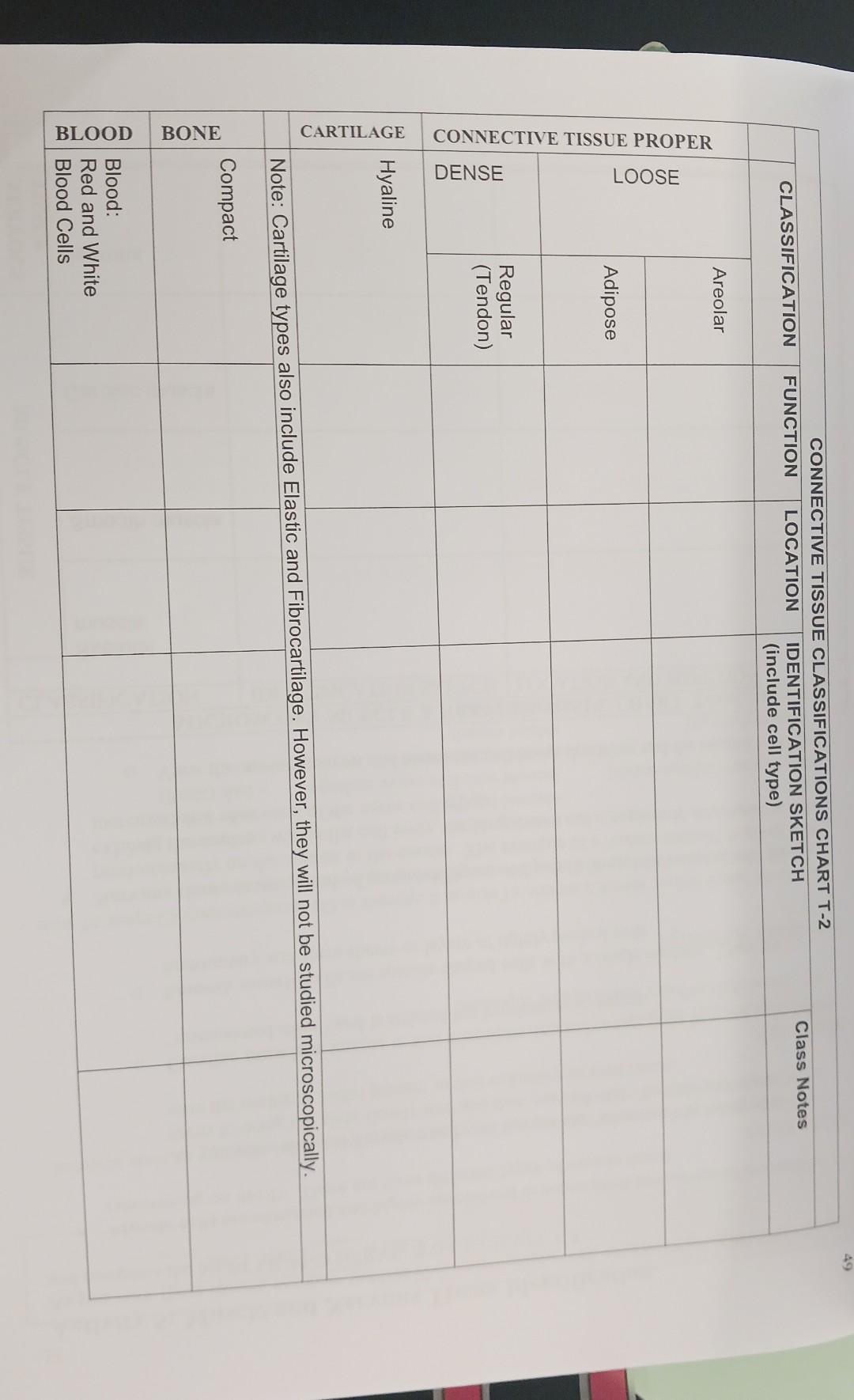 Solved CONNECTIVE TISSUE CLASSIFICATIONS CHART T-2 | Chegg.com