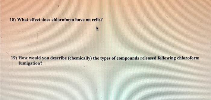 Solved 18) What effect does chloroform have on cells? 19) | Chegg.com