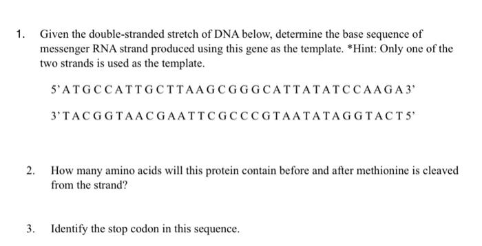 Solved Given the double-stranded stretch of DNA below, | Chegg.com