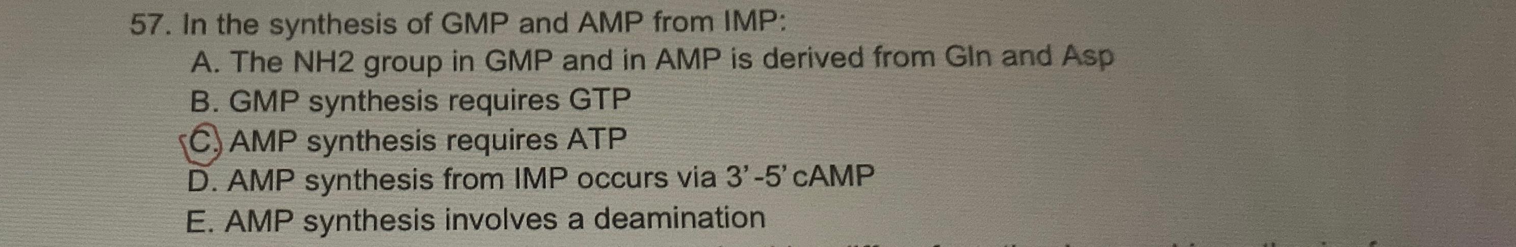 Solved In the synthesis of GMP and AMP from IMP Which is | Chegg.com