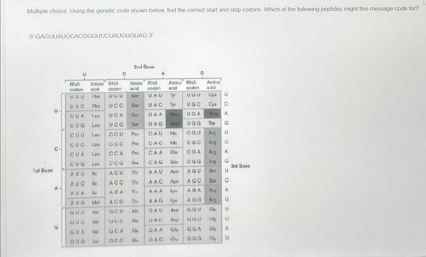 Multiple Choice Using The Genetic Code Shown Below