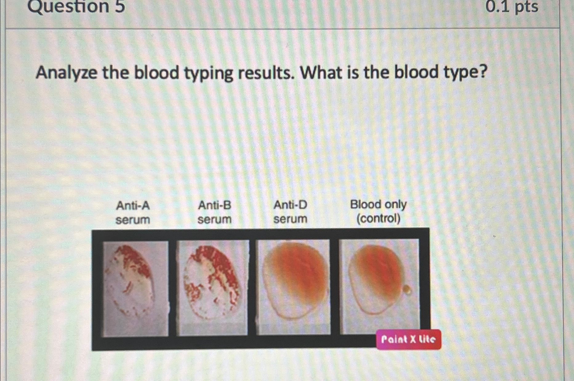 Solved Question 50.1 ﻿ptsAnalyze the blood typing results. | Chegg.com