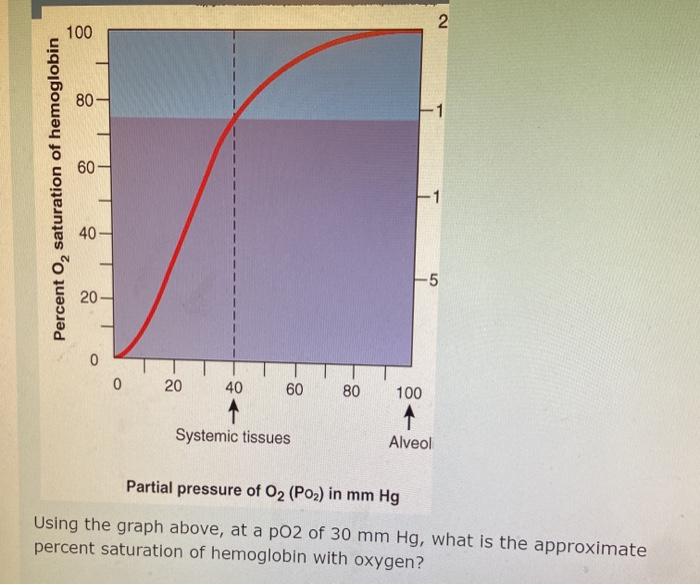 Solved 2 100 80 1 60 Percent o, saturation of hemoglobin 40 | Chegg.com