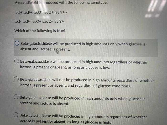 Solved A merodiploid is produced with the following | Chegg.com