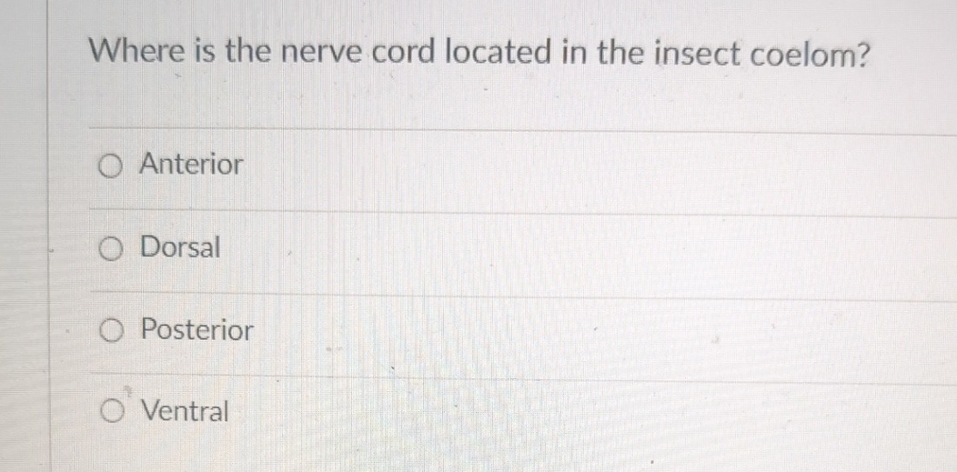 Solved Where is the nerve cord located in the insect | Chegg.com