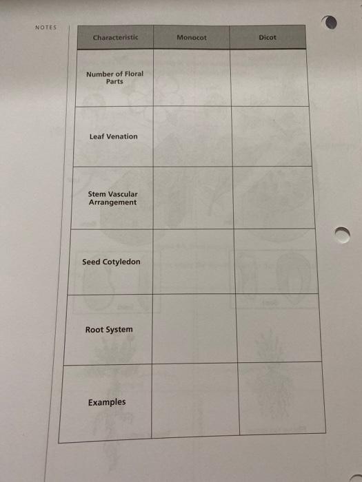 Solved NOTES Activity 2B: Monocot versus Dicot Flowering | Chegg.com