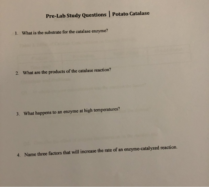 Solved Pre-Lab Study Questions Potato Catalase What is the | Chegg.com