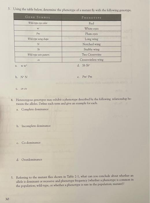 Solved 1. Explain how a gene symbol is chosen in Drosophila. | Chegg.com
