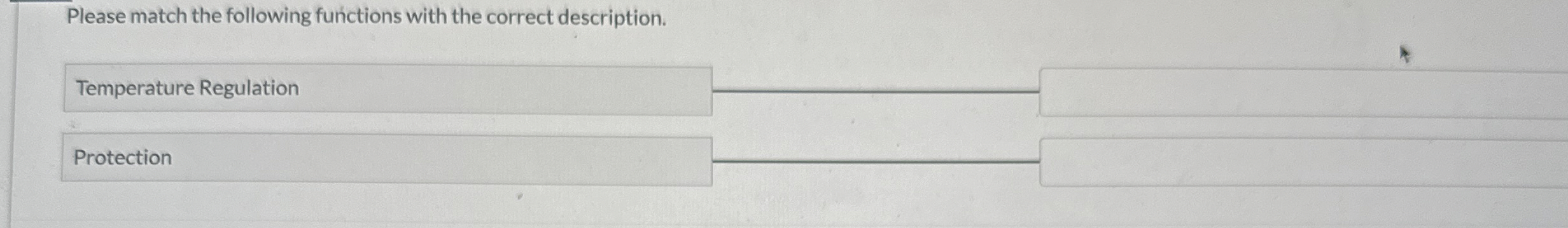 Solved Please match the following functions with the correct | Chegg.com