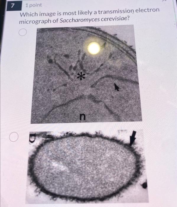 Solved 1 point Which image is most likely a transmission | Chegg.com