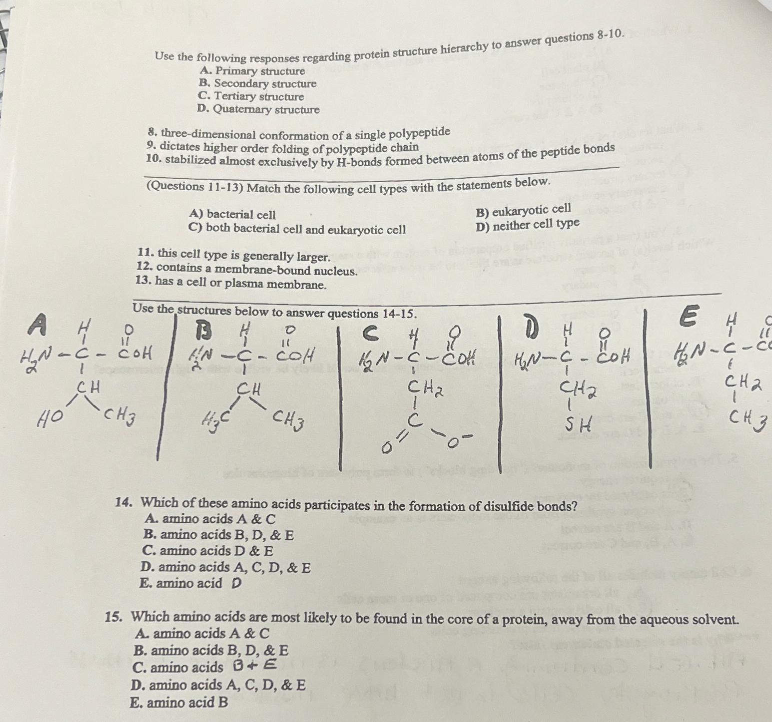Solved Use the following responses regarding protein | Chegg.com
