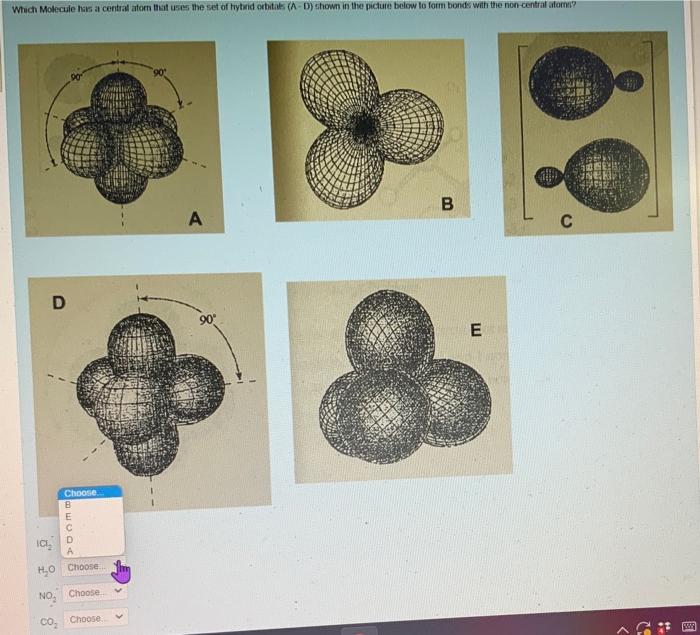 Solved all options for the other parts have the same options | Chegg.com