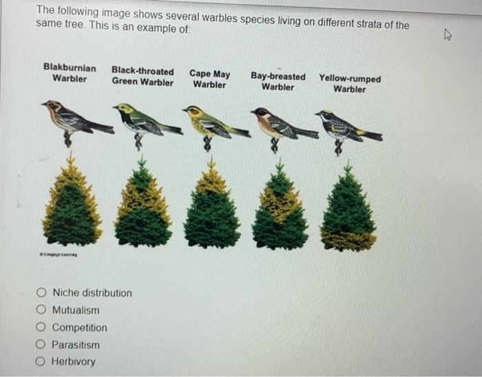 Solved The following image shows several warbles species | Chegg.com