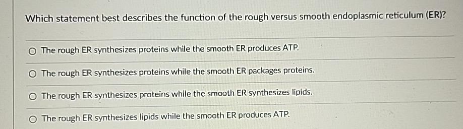 Solved Which statement best describes the function of the | Chegg.com