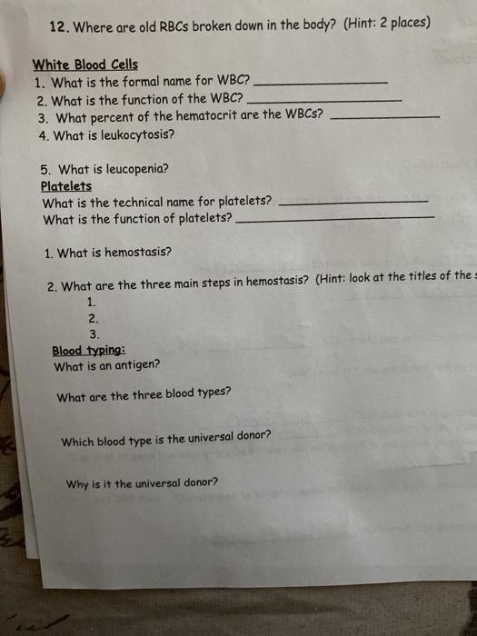 Solved 12. Where are old RBCs broken down in the body? | Chegg.com