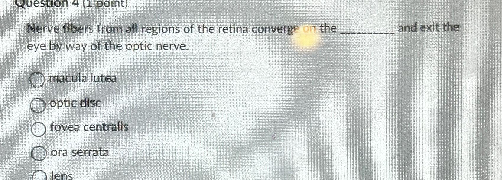 Solved Nerve fibers from all regions of the retina converge | Chegg.com