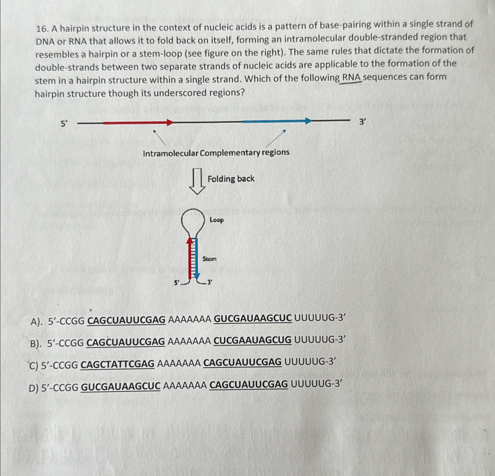 Solved A hairpin structure in the context of nucleic acids | Chegg.com