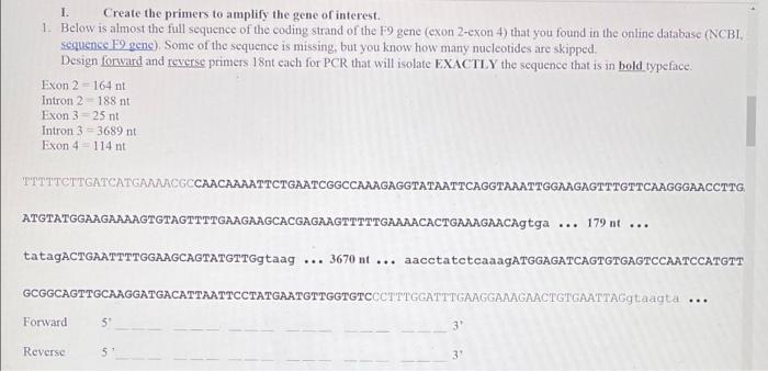 Solved I. Create the primers to amplify the gene of | Chegg.com