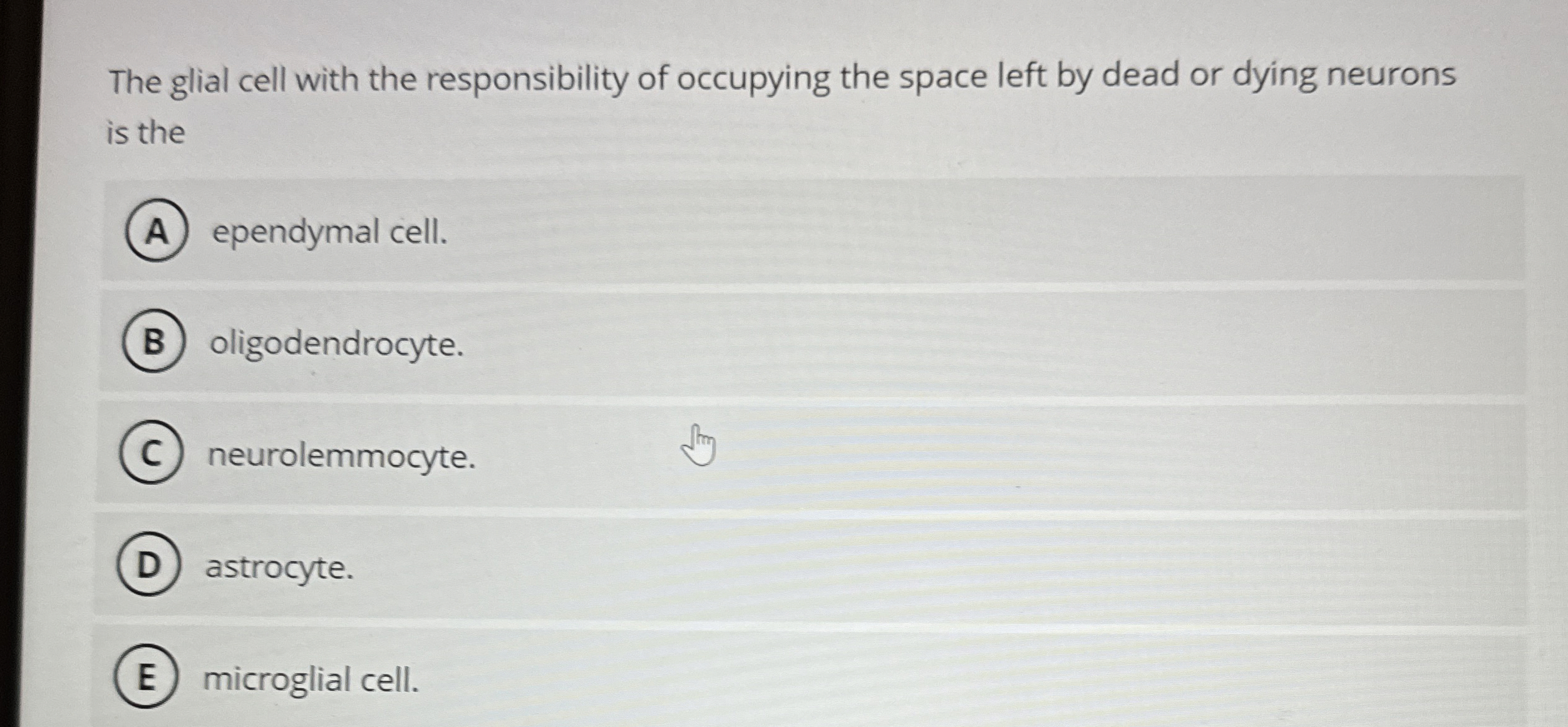 Solved The glial cell with the responsibility of occupying | Chegg.com