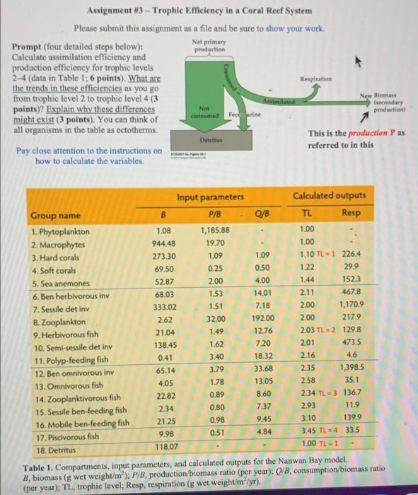 Solved Assignment #3 - Trophic Efficiency in a Coral Reef | Chegg.com