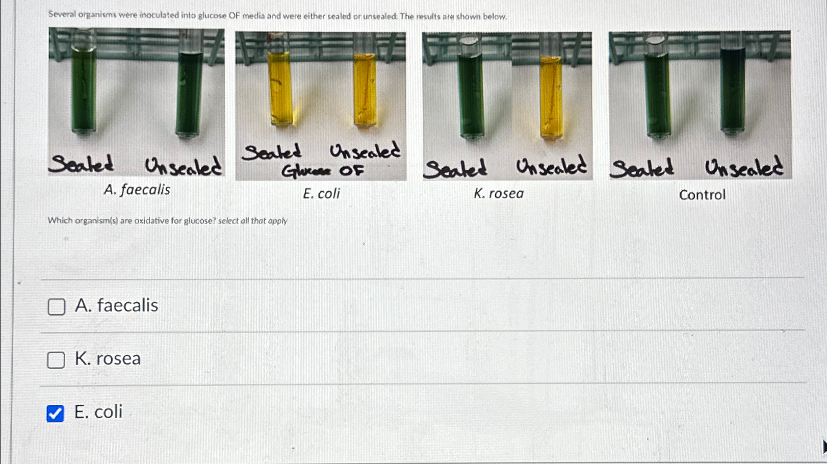 Solved Several organisms were inoculated into glucose | Chegg.com