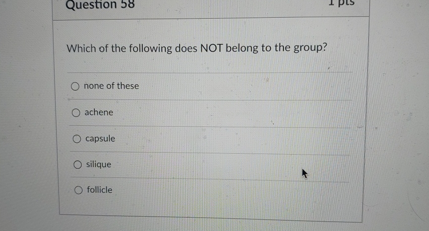 Solved Question 58Which of the following does NOT belong to | Chegg.com