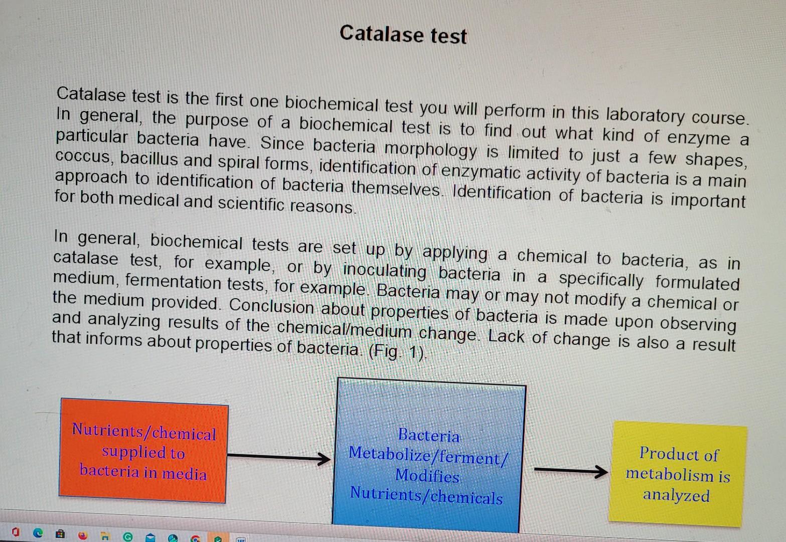 Catalase test is the first one biochemical test you | Chegg.com