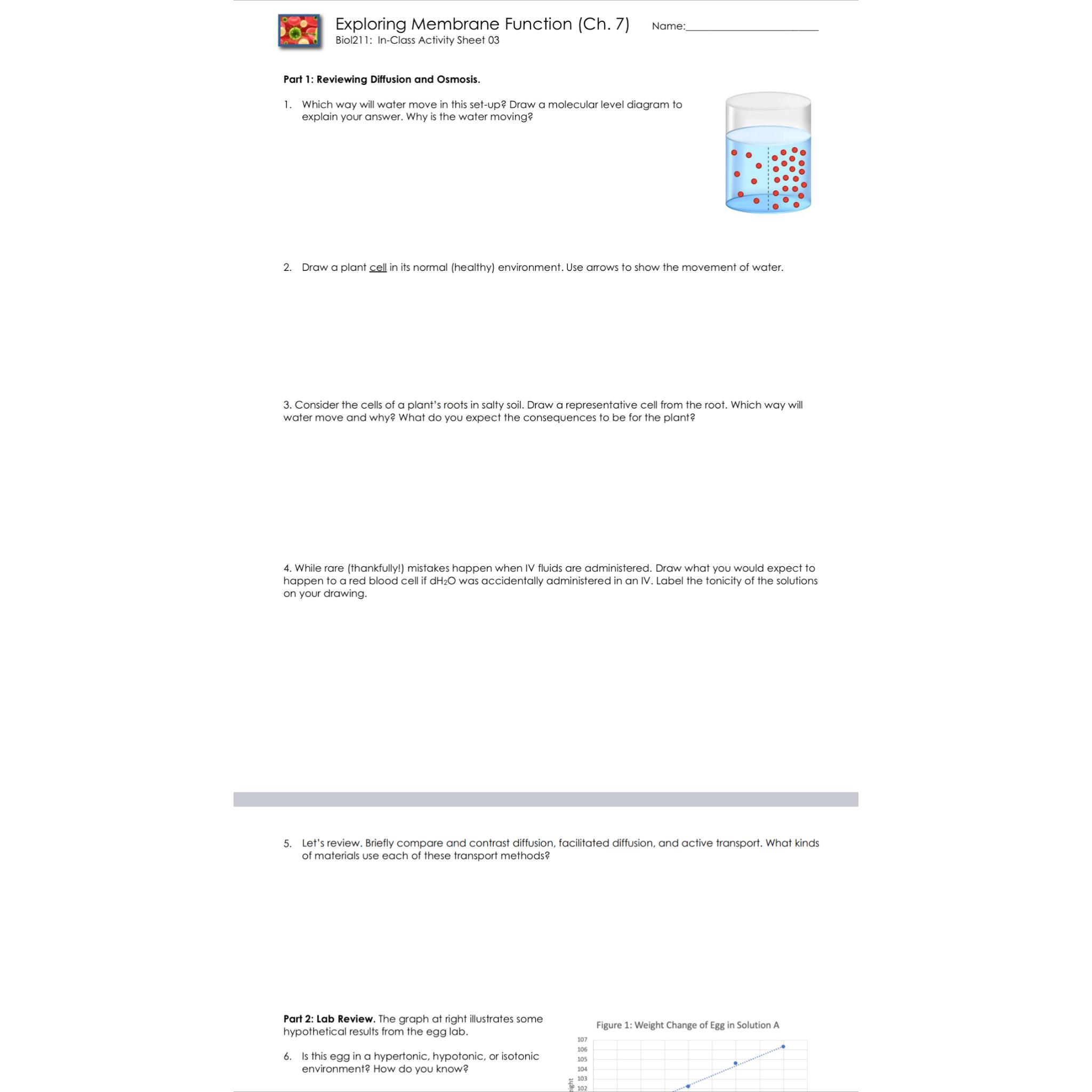Solved Exploring Membrane Function (Ch. 7)Name:Biol211: | Chegg.com