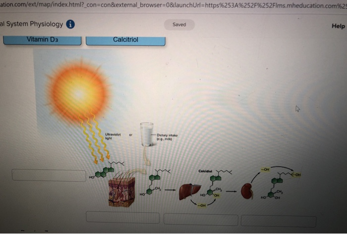 Solved Label the molecules on the figure with the terms | Chegg.com