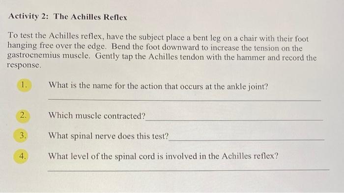 Solved Activity 2: The Achilles Reflex To test the Achilles | Chegg.com