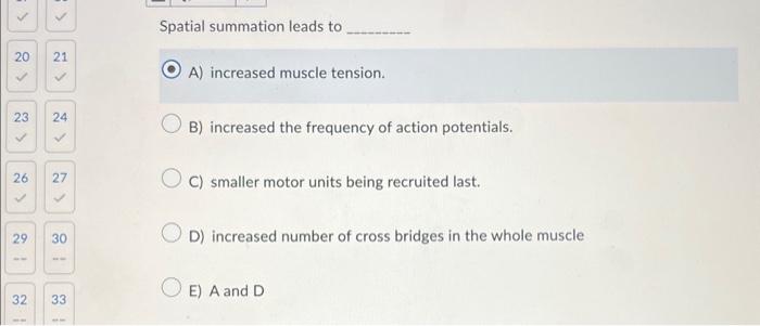 Solved Spatial summation leads to A) increased muscle | Chegg.com