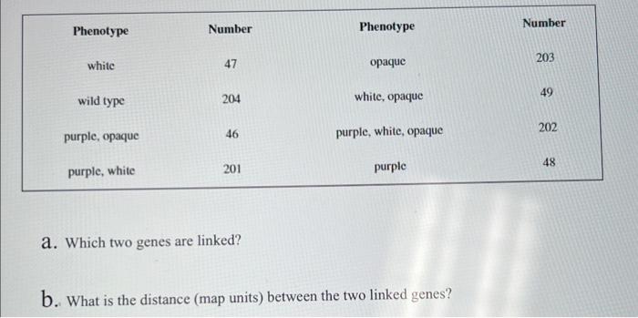 Solved 4 A Female Drosophila Fly Is Heterozygous For Three 8433