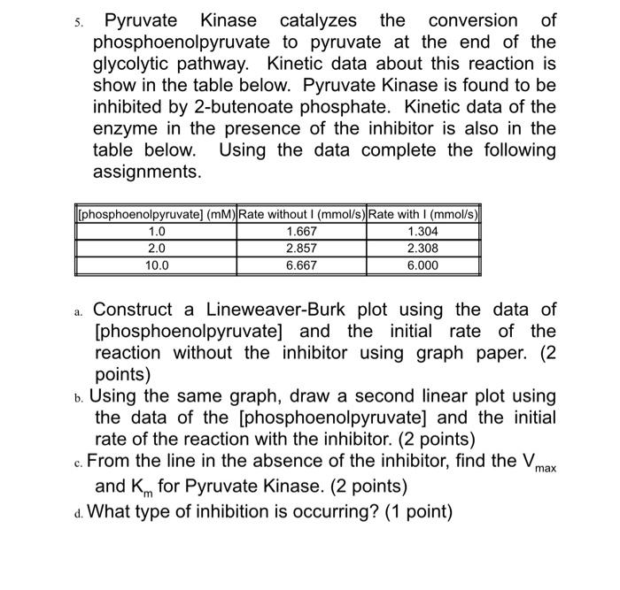 Solved 5. Pyruvate Kinase catalyzes the conversion of | Chegg.com