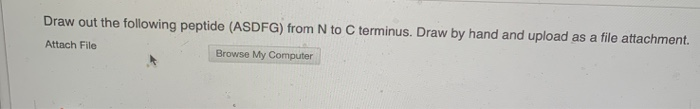 Solved Draw out the following peptide (ASDFG) from N to C | Chegg.com