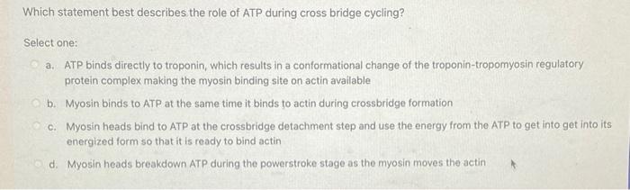 Solved Which statement best describes the role of ATP during | Chegg.com