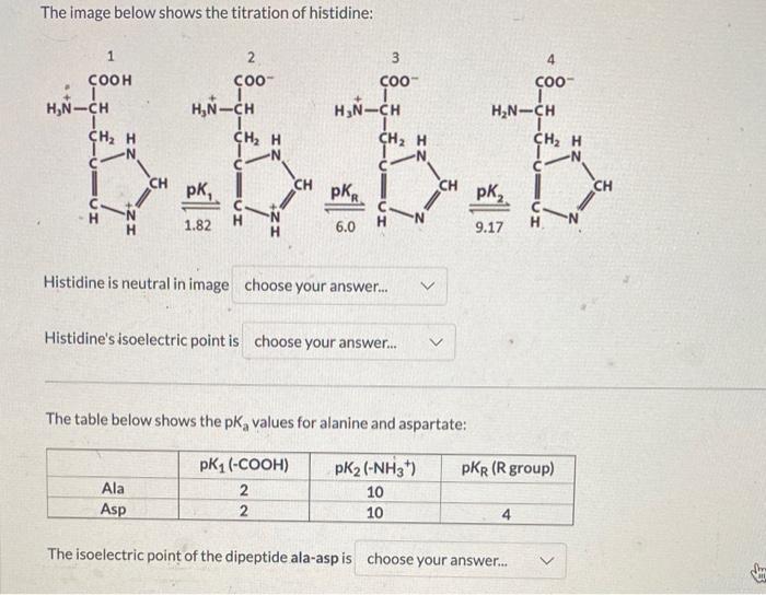 The image below shows the titration of histidine: | Chegg.com