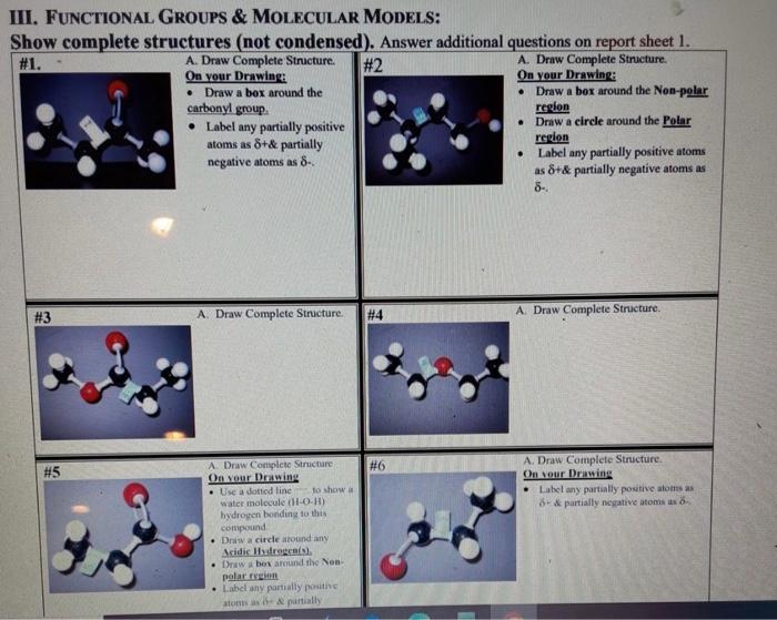 Solved III. FUNCTIONAL GROUPS & MOLECULAR MODELS: Show | Chegg.com