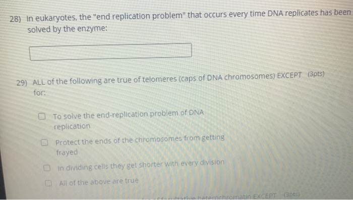 Solved 28) In eukaryotes, the "end replication problem" that | Chegg.com